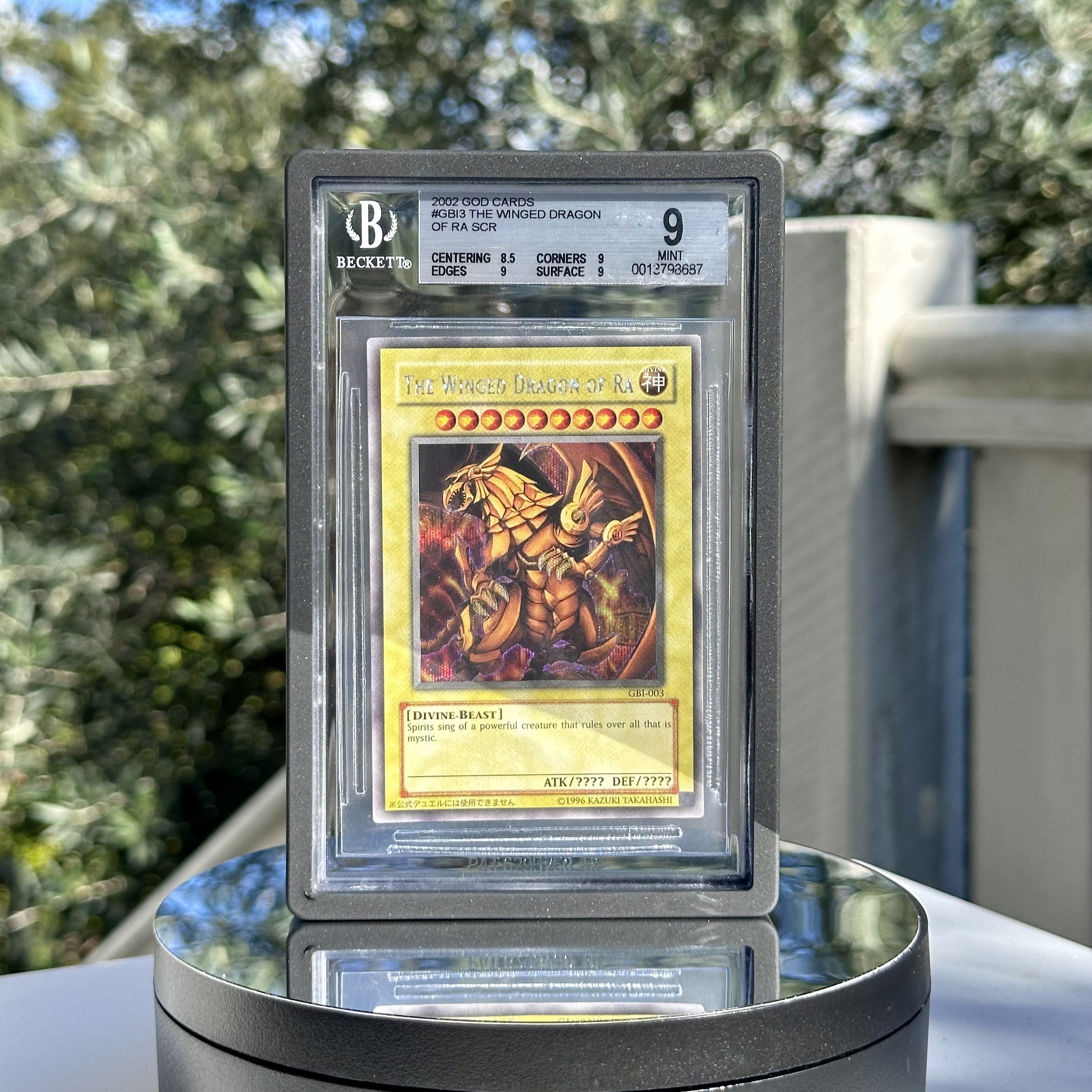 Guardian Bumper - BGS Style | Cardboard Guardian