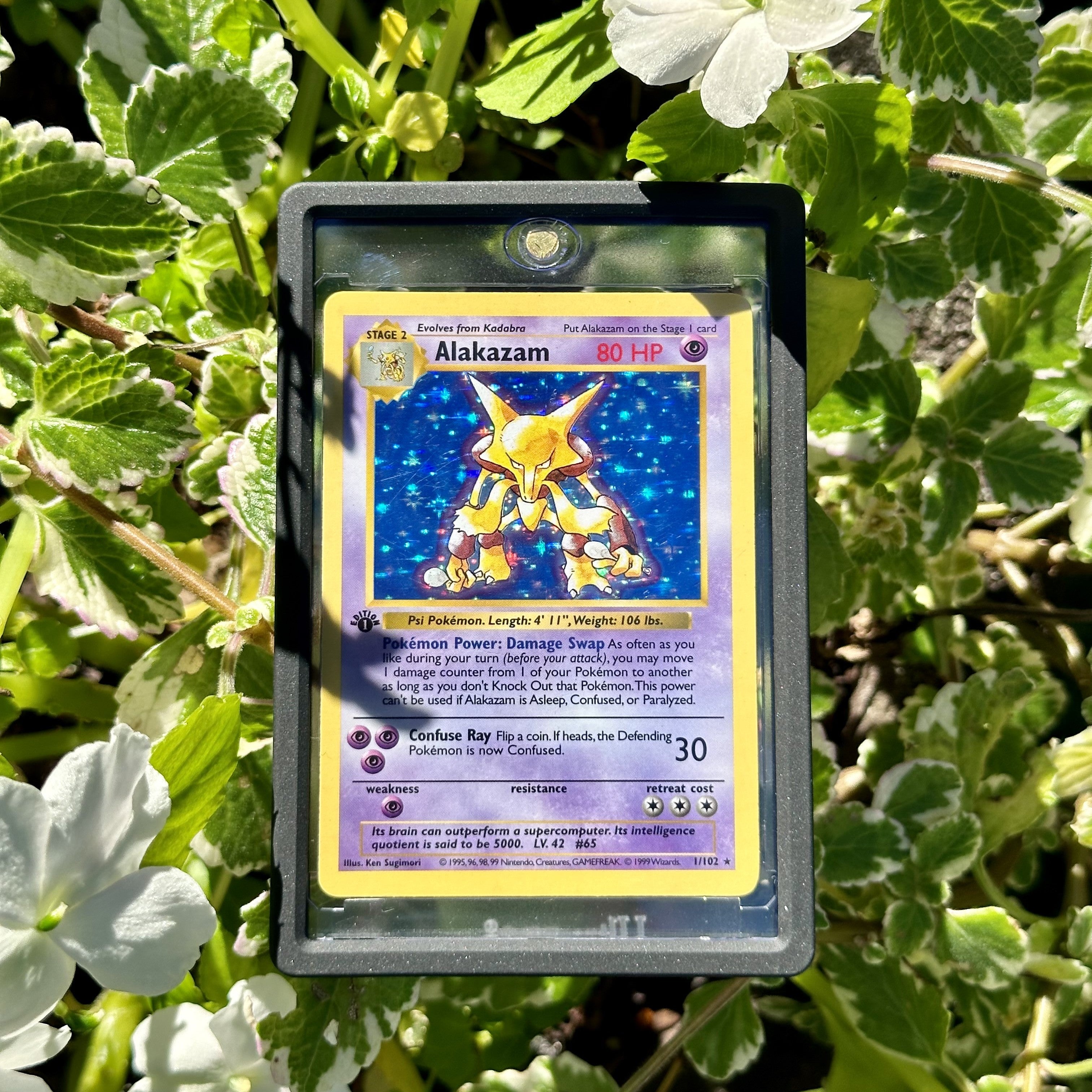 Guardian Bumper - One Touch Style | Cardboard Guardian